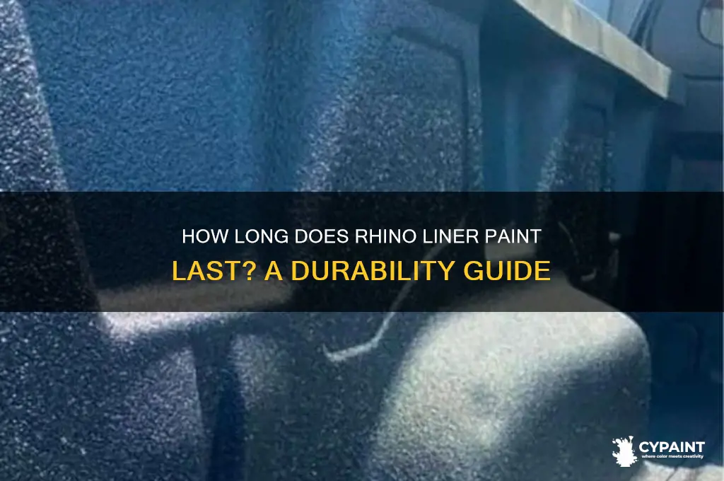How Long Does Rhino Liner Paint Last? A Durability Guide | CyPaint