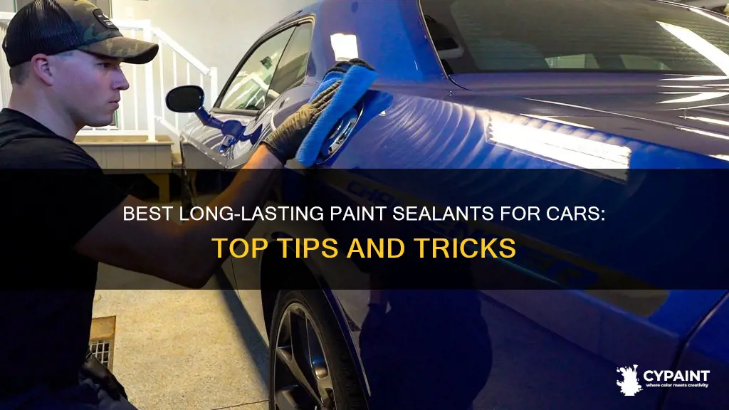 Best Long-Lasting Paint Sealants For Cars: Top Tips And Tricks | CyPaint