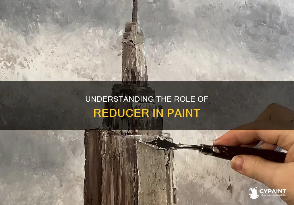 Understanding The Role Of Reducer In Paint | CyPaint
