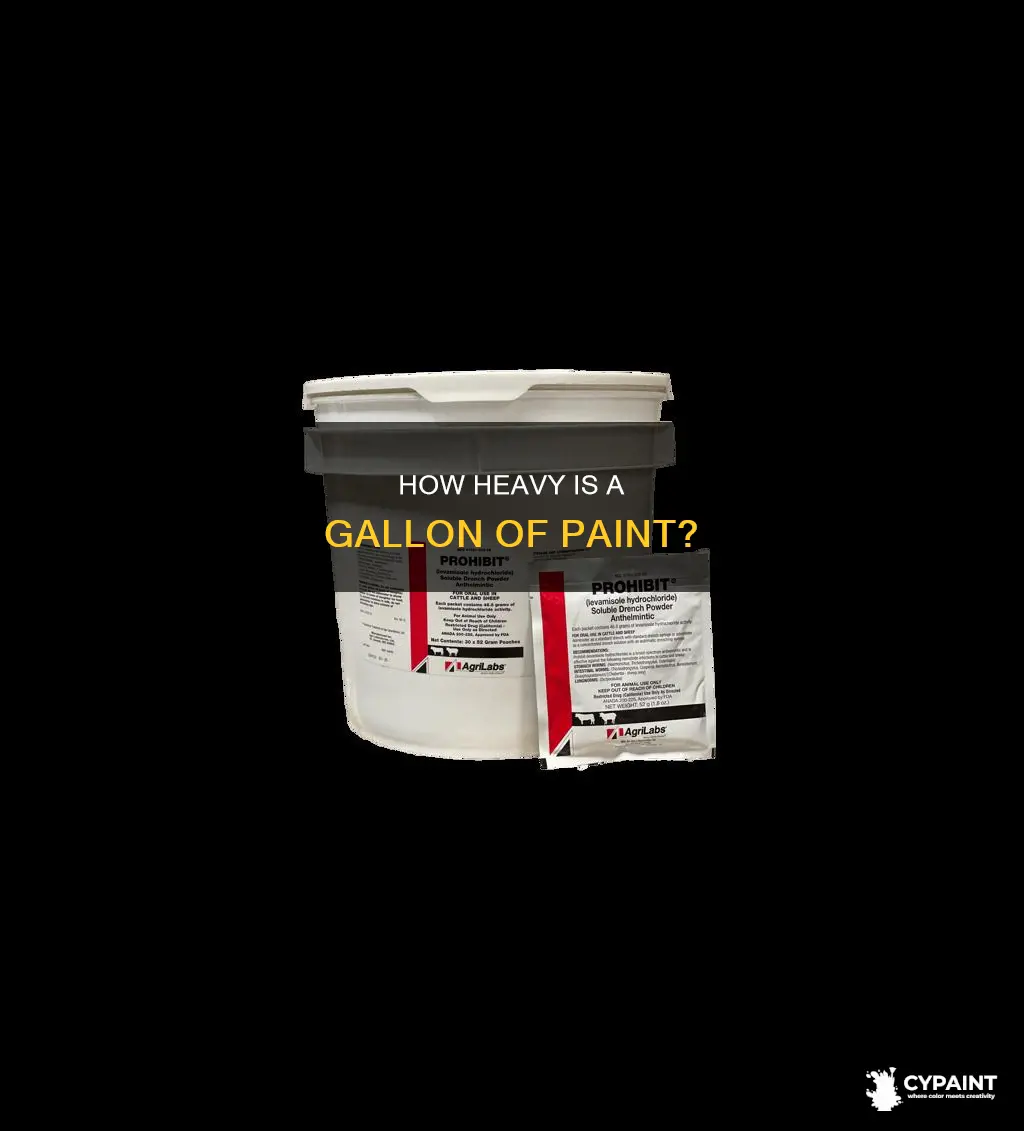 How Heavy Is A Gallon Of Paint? | CyPaint