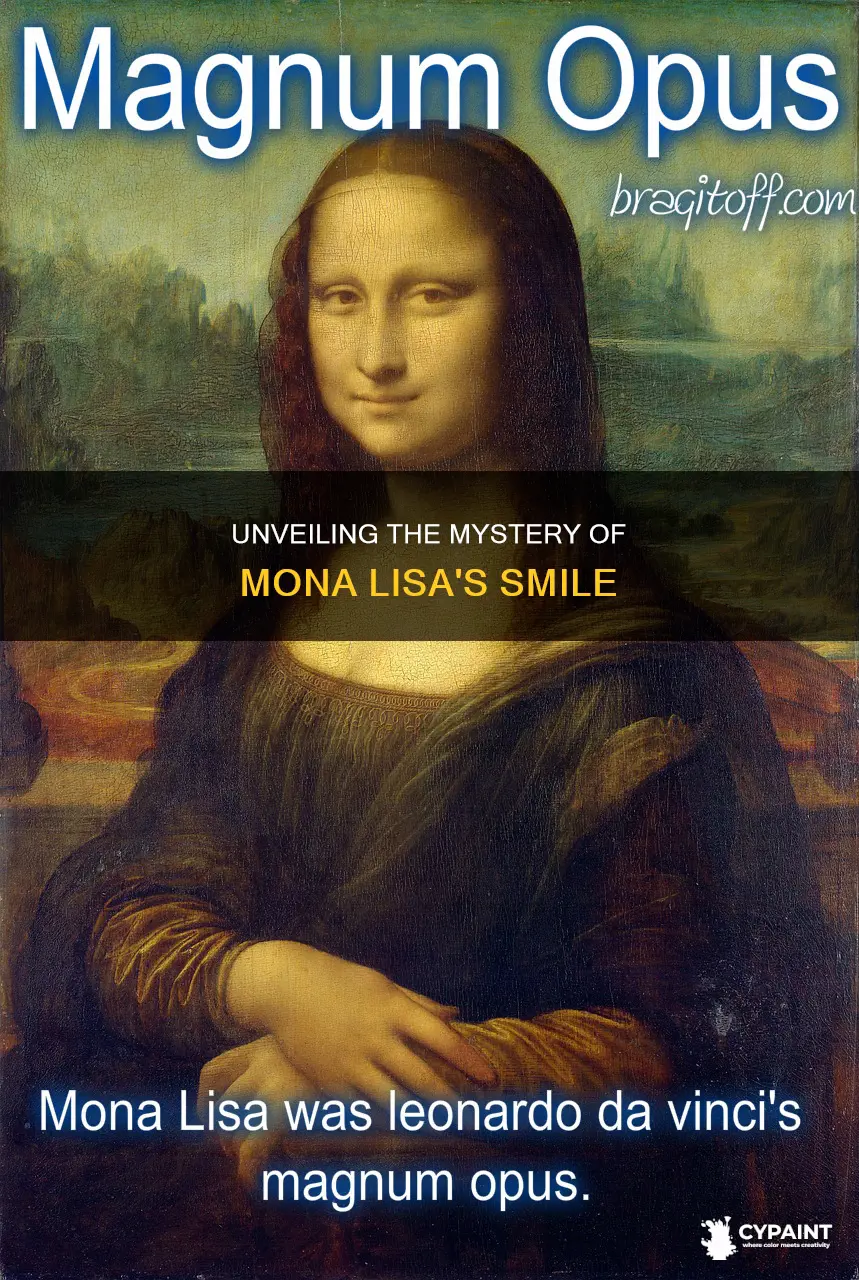 Unveiling The Mystery Of Mona Lisa's Smile | CyPaint