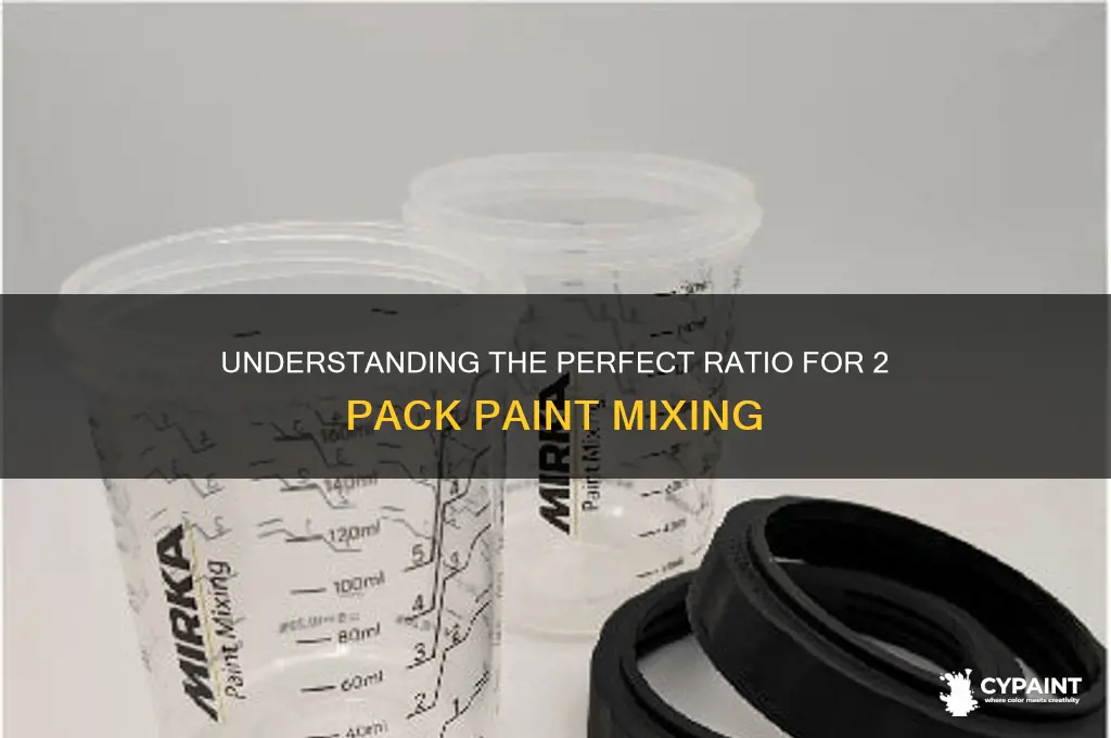Understanding The Perfect Ratio For 2 Pack Paint Mixing | CyPaint