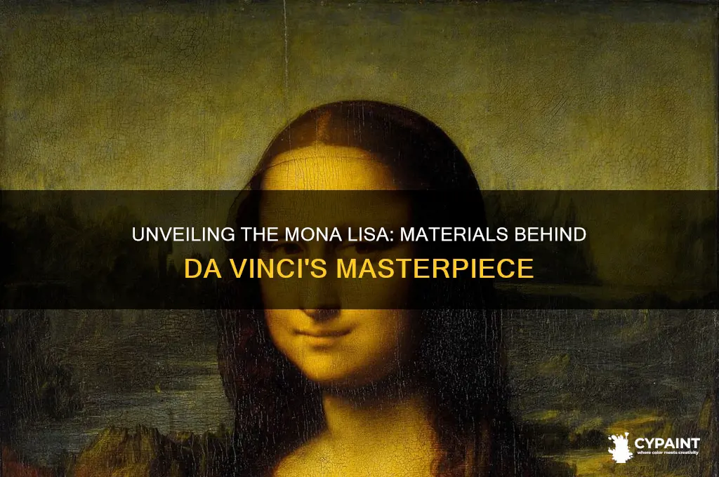 Unveiling The Mona Lisa: Materials Behind Da Vinci's Masterpiece | CyPaint