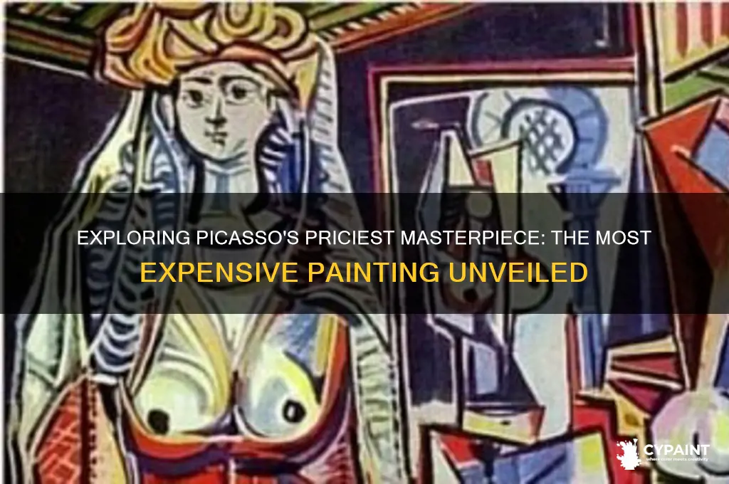 Exploring Picasso's Priciest Masterpiece: The Most Expensive Painting ...