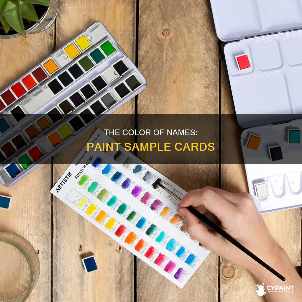 The Color Of Names: Paint Sample Cards | CyPaint