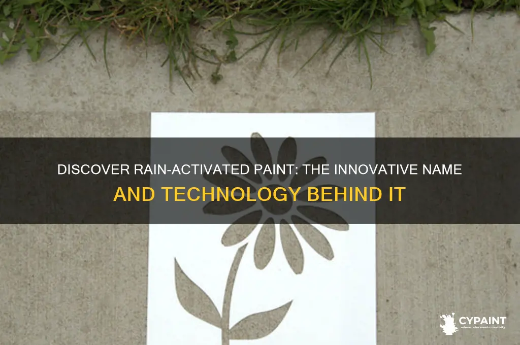 Discover Rain-Activated Paint: The Innovative Name And Technology ...