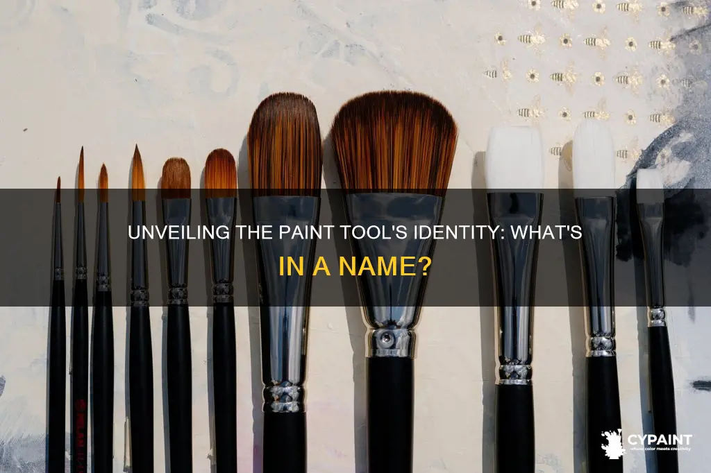 Unveiling The Paint Tool's Identity: What's In A Name? | CyPaint