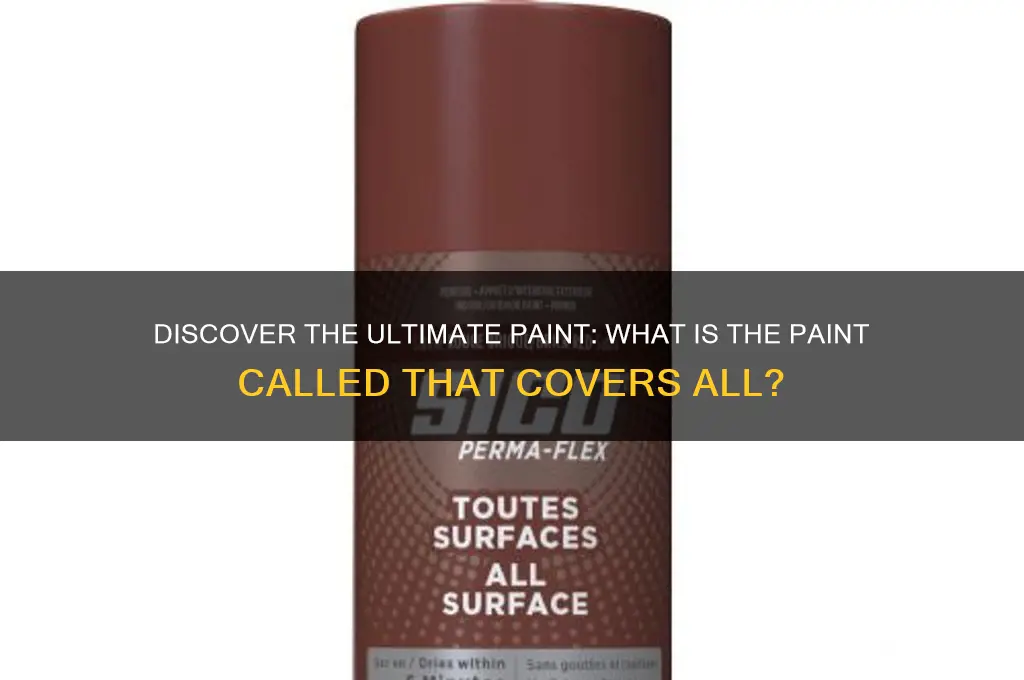 Discover The Ultimate Paint: What Is The Paint Called That Covers All ...