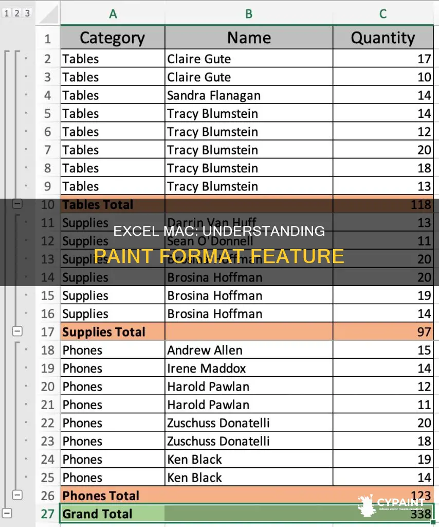 Excel Mac: Understanding Paint Format Feature | CyPaint