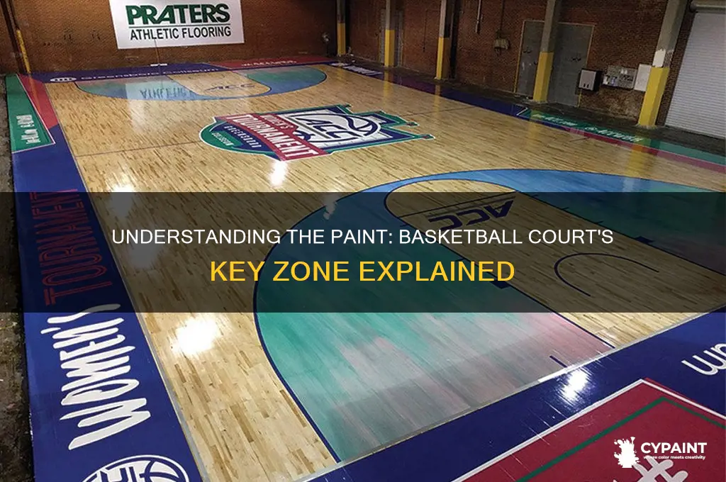 Understanding The Paint: Basketball Court's Key Zone Explained | CyPaint