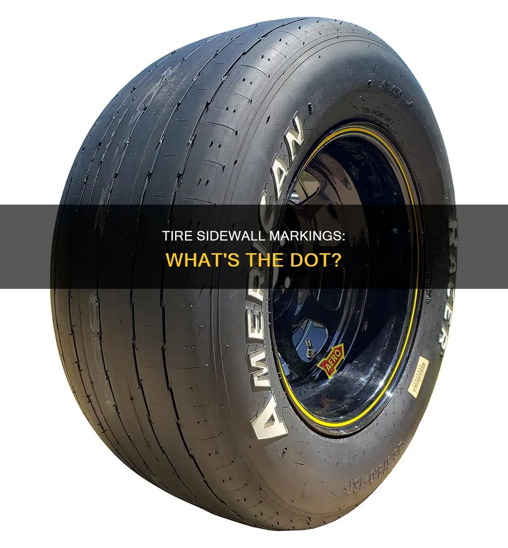 Tire Sidewall Markings: What's The Dot? | CyPaint