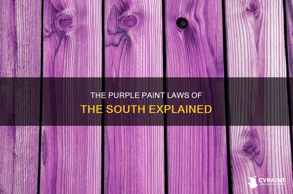 The Purple Paint Laws Of The South Explained | CyPaint