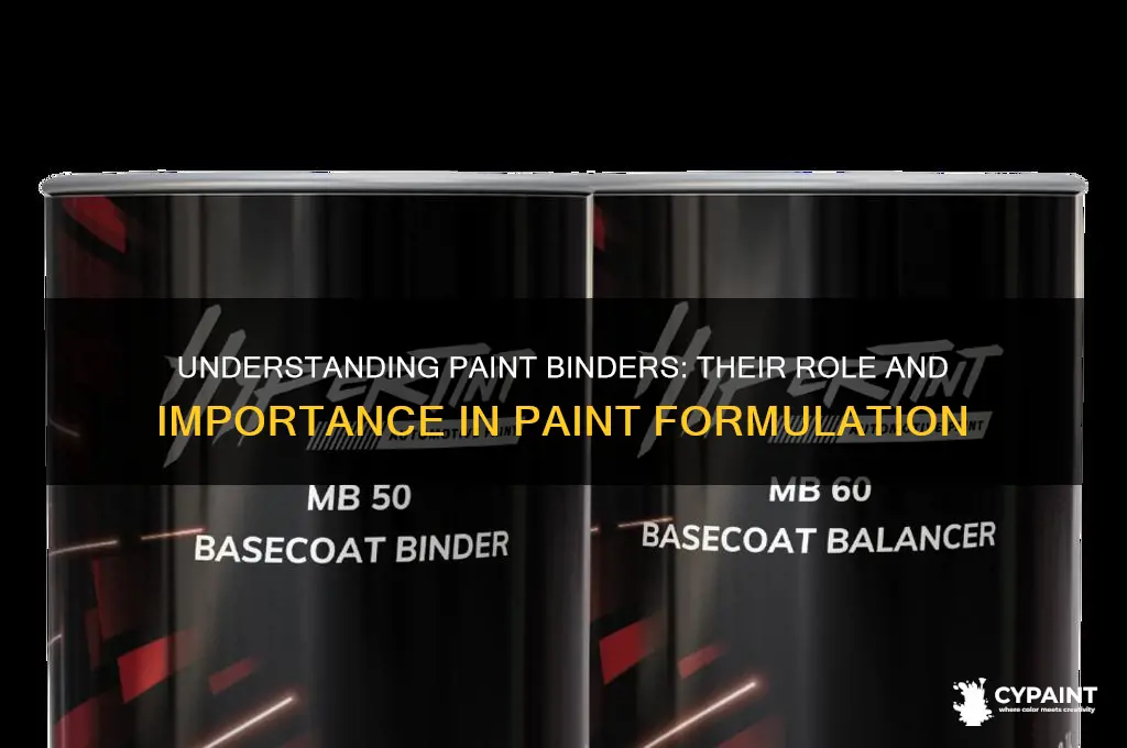 Understanding Paint Binders: Their Role And Importance In Paint ...