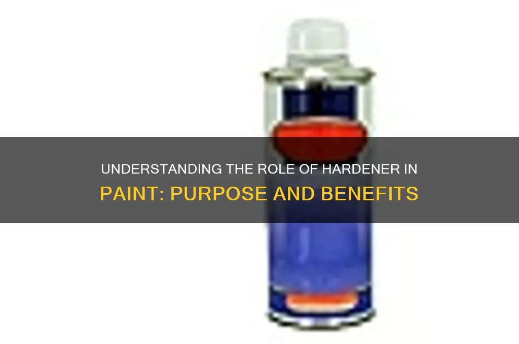 Understanding The Role Of Hardener In Paint: Purpose And Benefits | CyPaint