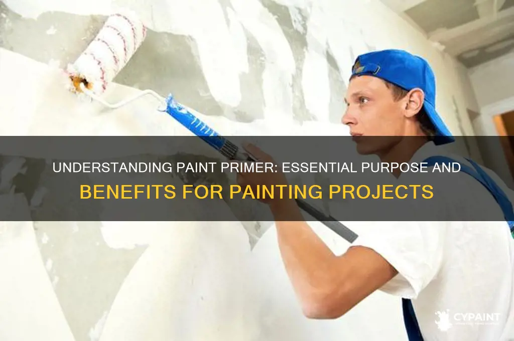 Understanding Paint Primer: Essential Purpose And Benefits For Painting ...