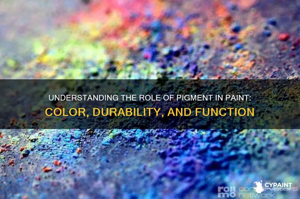 Understanding The Role Of Pigment In Paint: Color, Durability, And ...