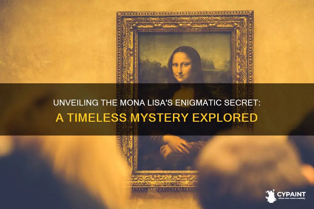 Unveiling The Mona Lisa's Enigmatic Secret: A Timeless Mystery Explored ...