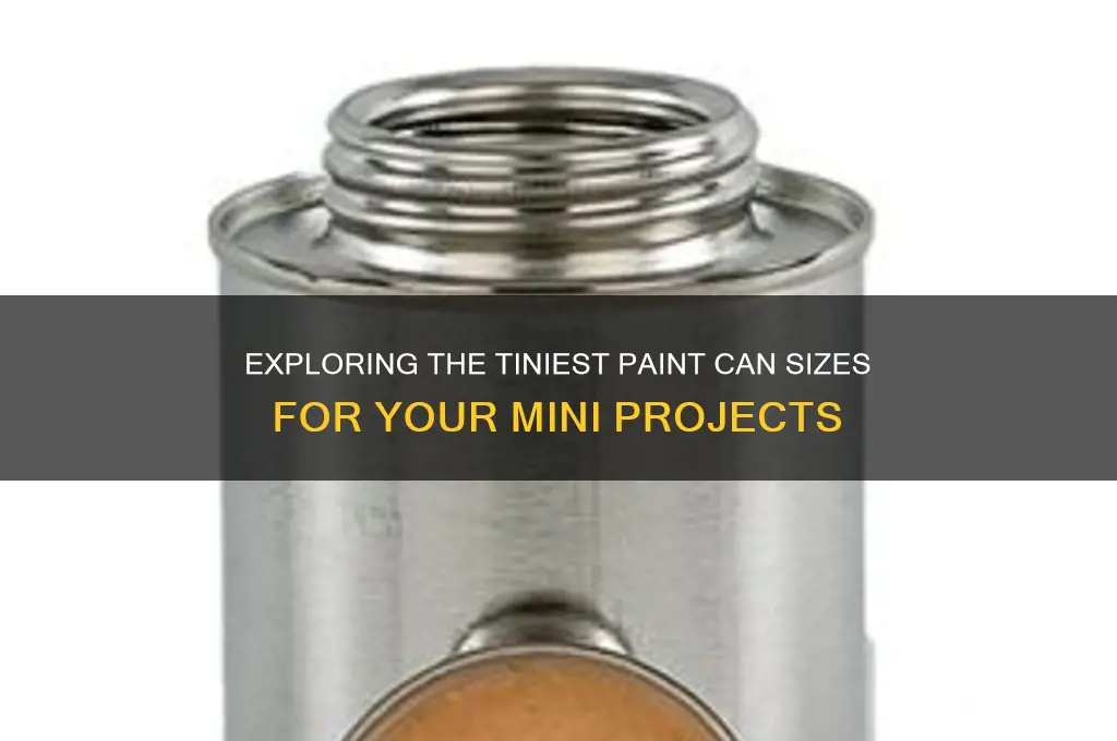 Exploring The Tiniest Paint Can Sizes For Your Mini Projects | CyPaint