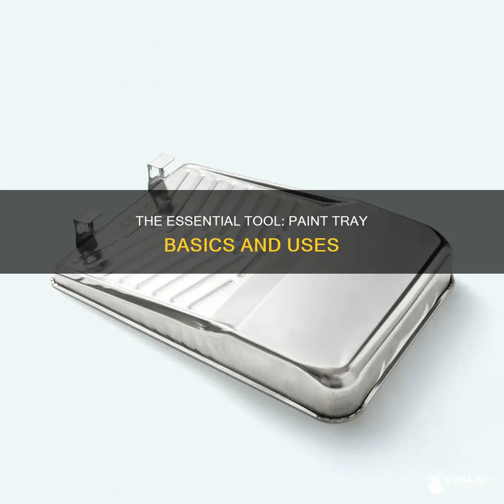 The Essential Tool: Paint Tray Basics And Uses | CyPaint