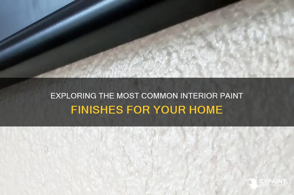 Exploring The Most Common Interior Paint Finishes For Your Home | CyPaint