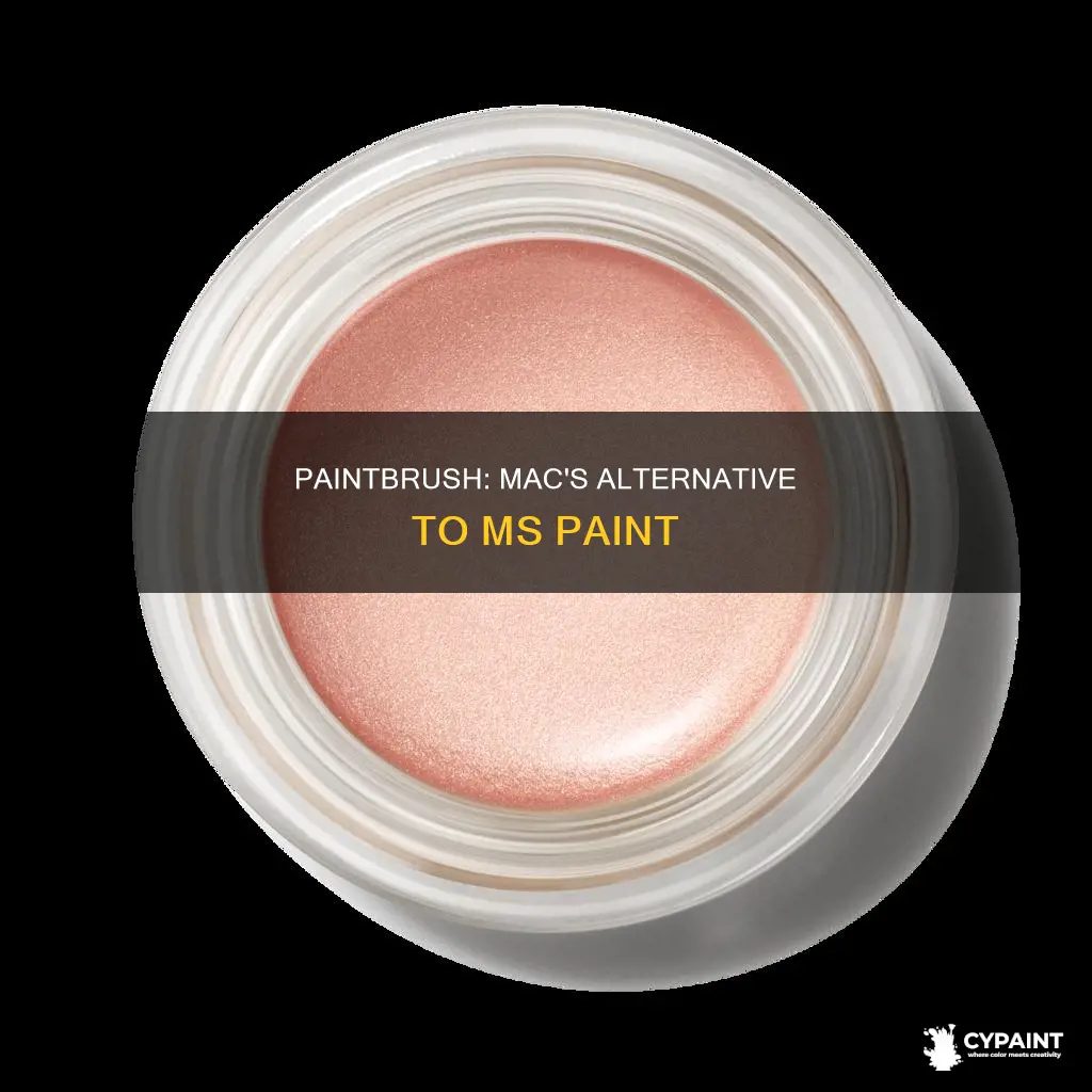 Paintbrush: Mac's Alternative To Ms Paint | CyPaint