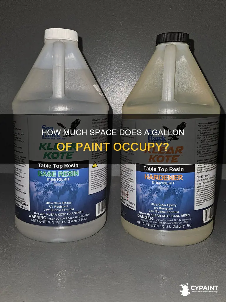 How Much Space Does A Gallon Of Paint Occupy? | CyPaint