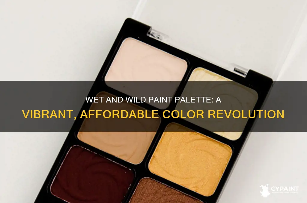 Wet And Wild Paint Palette: A Vibrant, Affordable Color Revolution ...