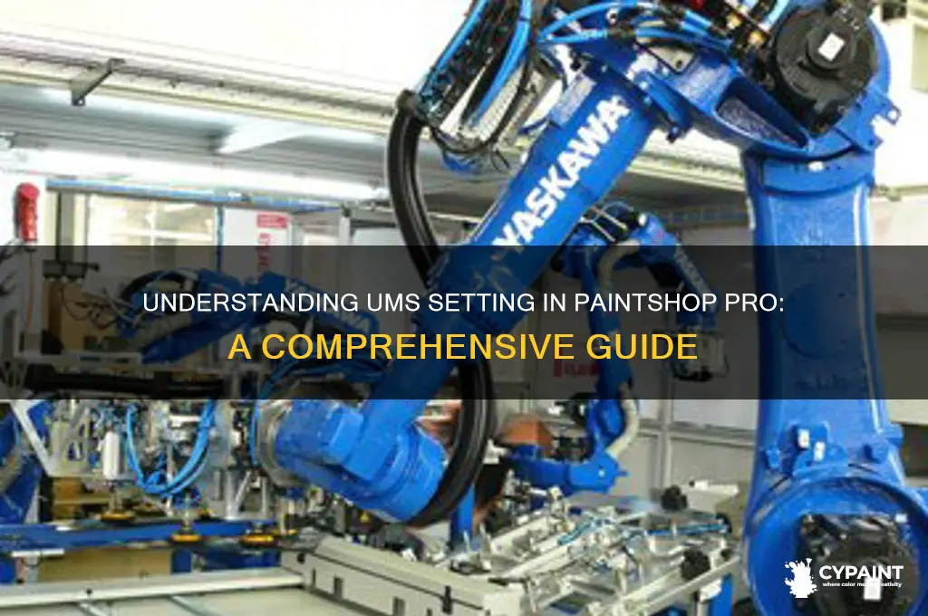 Understanding Ums Setting In Paintshop Pro: A Comprehensive Guide | CyPaint