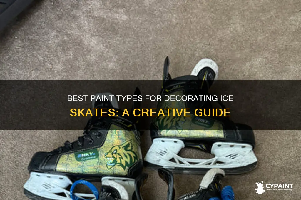 Best Paint Types For Decorating Ice Skates: A Creative Guide | CyPaint
