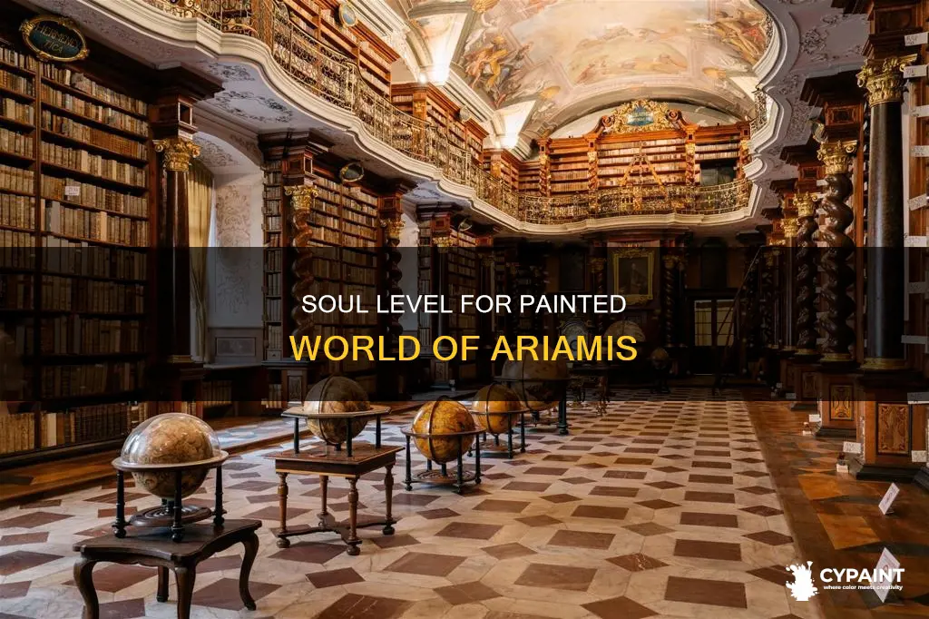 Soul Level For Painted World Of Ariamis | CyPaint