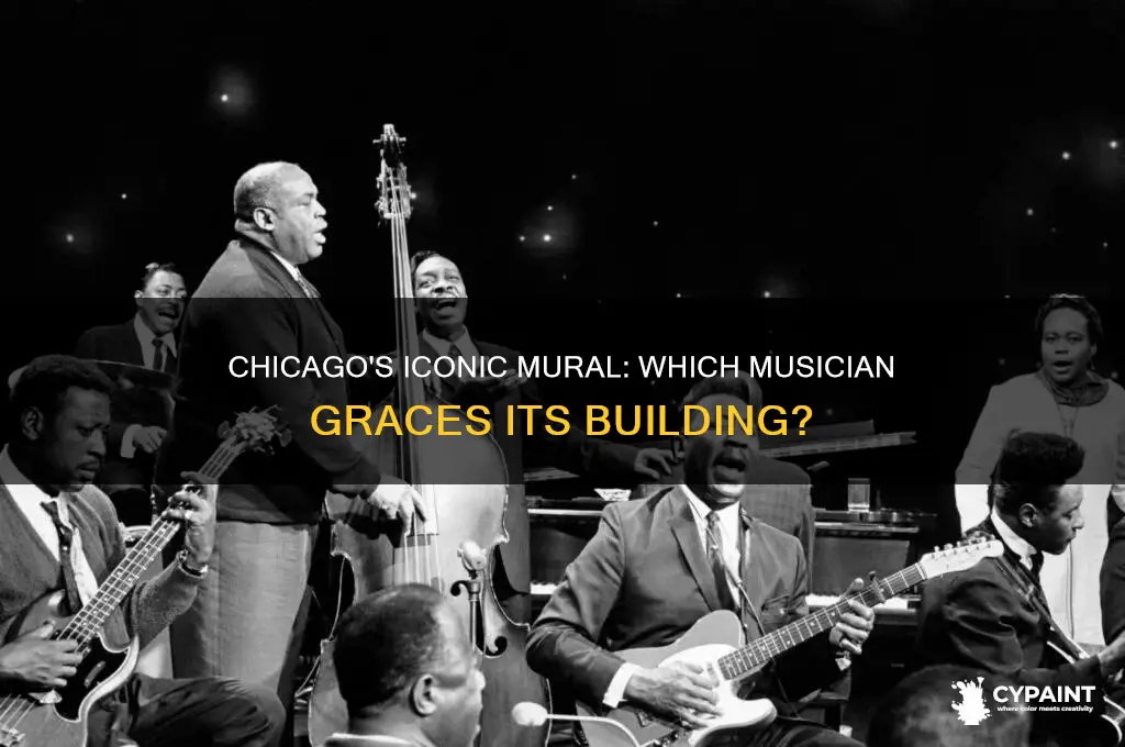 Chicago's Iconic Mural: Which Musician Graces Its Building? | CyPaint