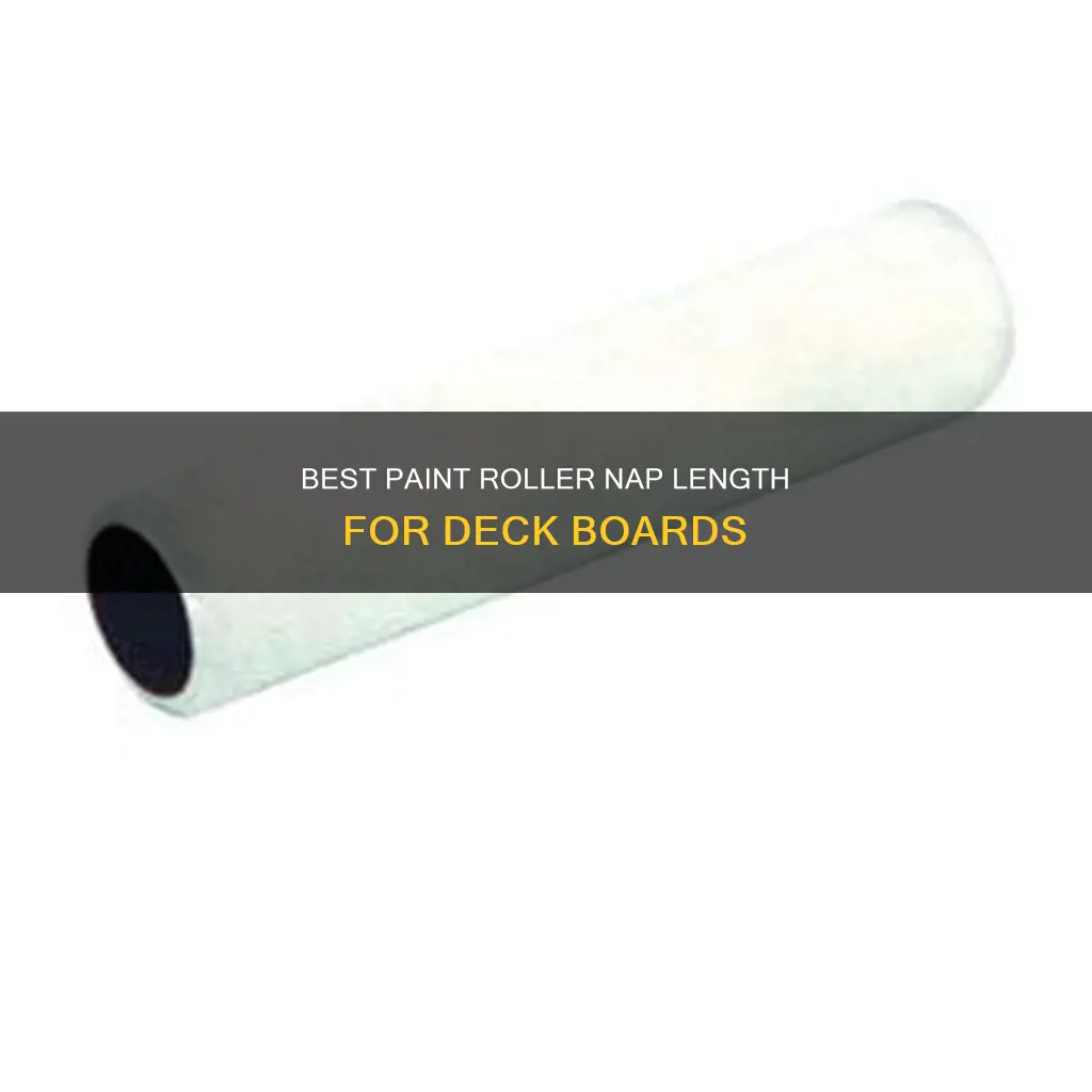 Best Paint Roller Nap Length For Deck Boards | CyPaint