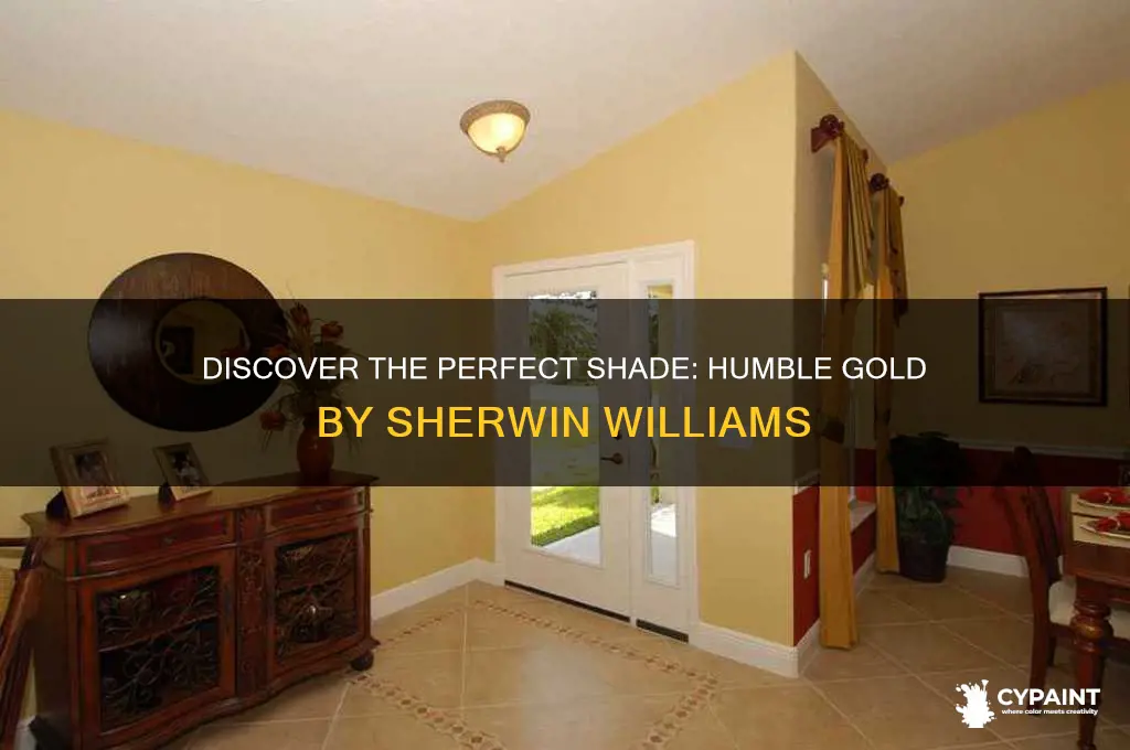 Discover The Perfect Shade: Humble Gold By Sherwin Williams | CyPaint