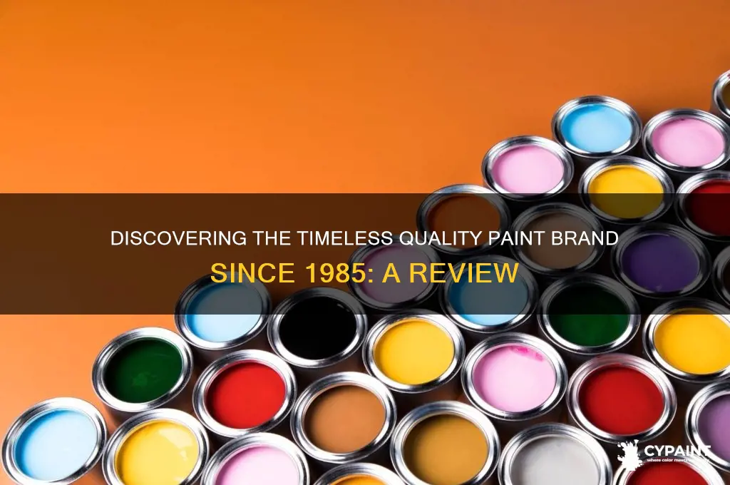 Discovering The Timeless Quality Paint Brand Since 1985: A Review | CyPaint