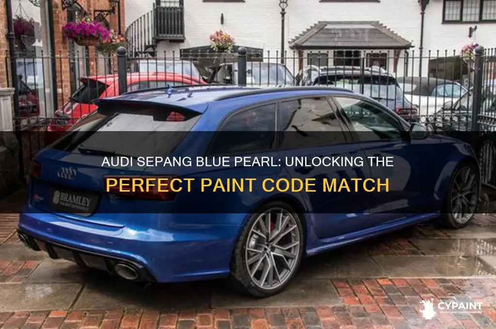 Audi Sepang Blue Pearl: Unlocking The Perfect Paint Code Match | CyPaint