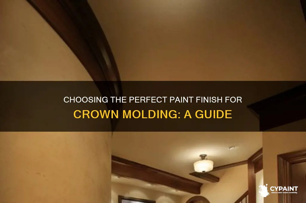 Choosing The Perfect Paint Finish For Crown Molding: A Guide | CyPaint
