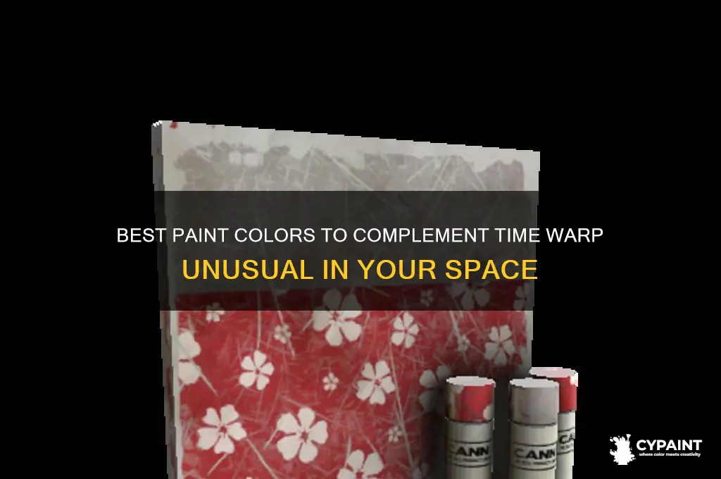 Best Paint Colors To Complement Time Warp Unusual In Your Space | CyPaint