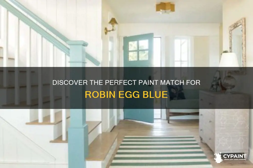 Discover The Perfect Paint Match For Robin Egg Blue | CyPaint