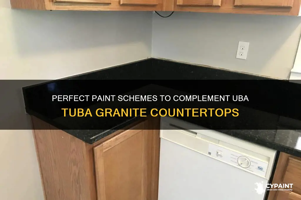Perfect Paint Schemes To Complement Uba Tuba Granite Countertops | CyPaint