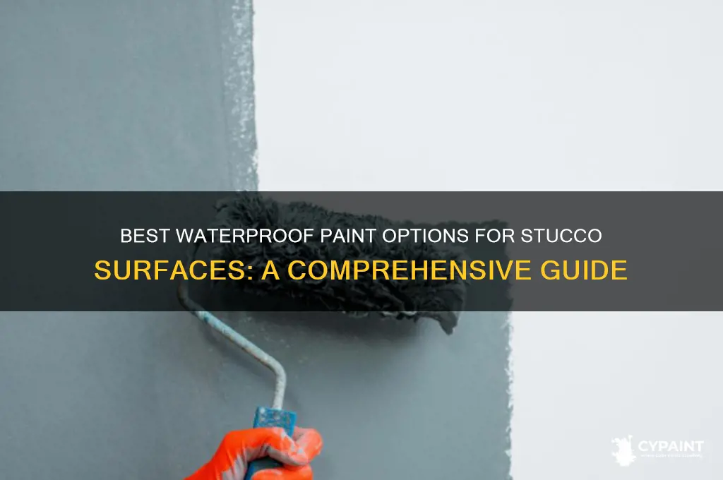 Best Waterproof Paint Options For Stucco Surfaces: A Comprehensive ...