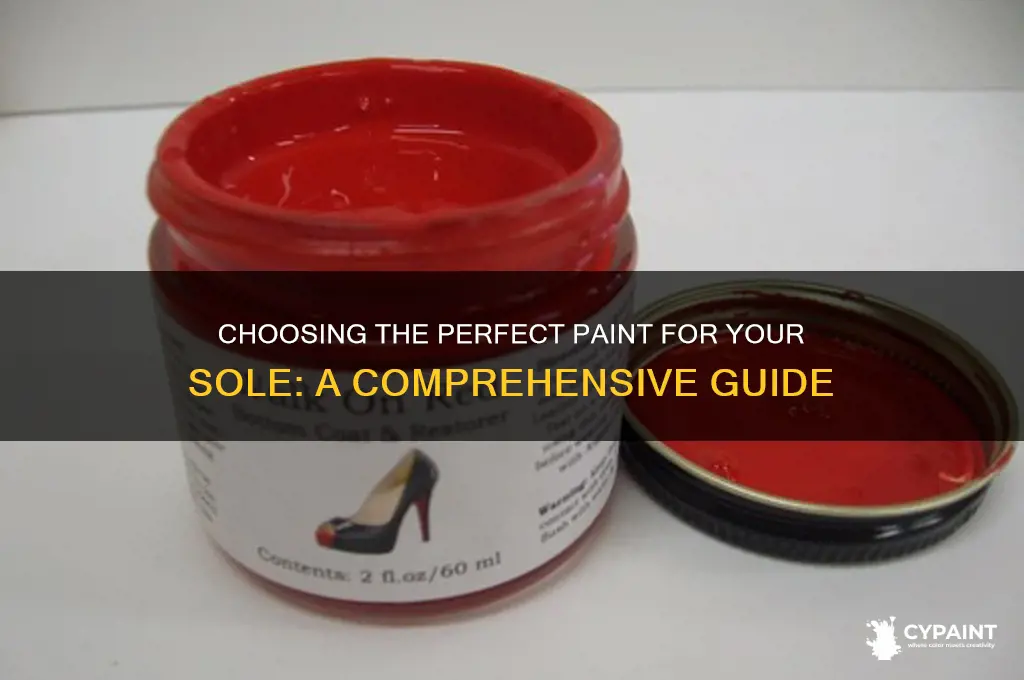 Choosing The Perfect Paint For Your Sole: A Comprehensive Guide | CyPaint
