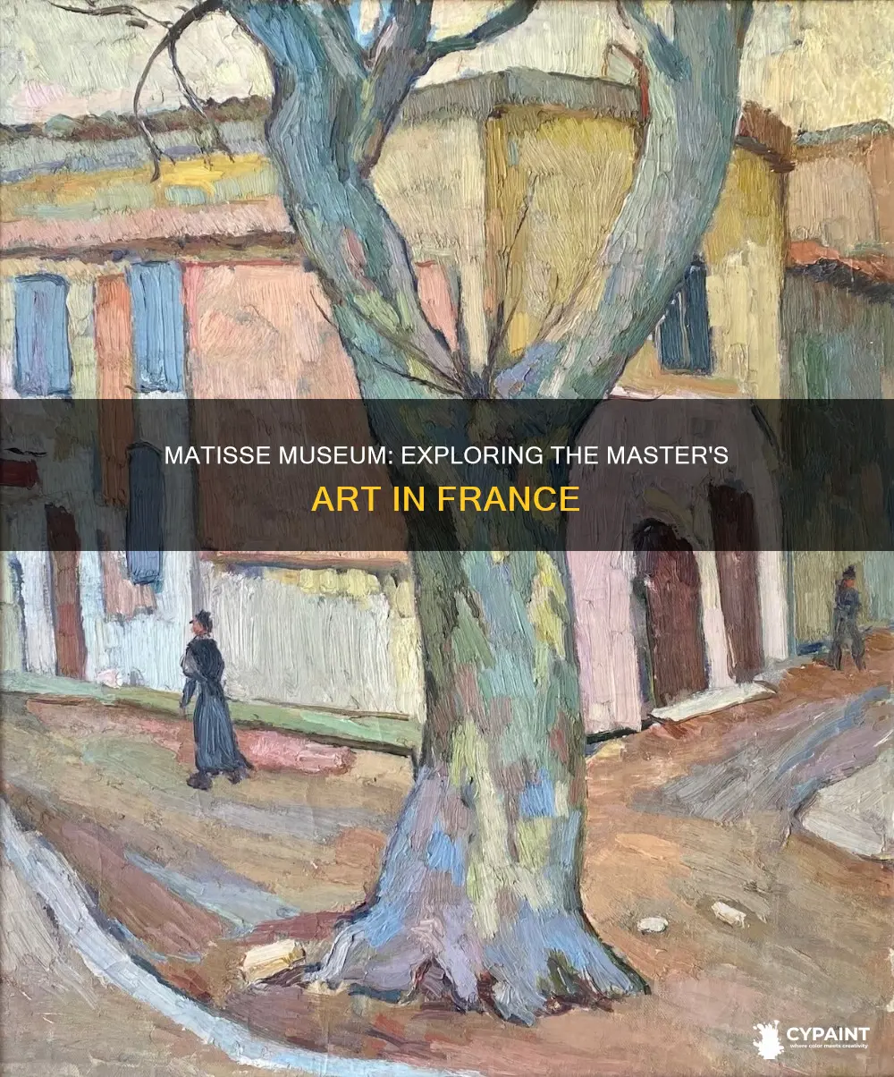 Matisse Museum: Exploring The Master's Art In France | CyPaint