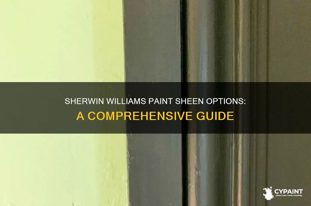 Sherwin Williams Paint Sheen Options: A Comprehensive Guide | CyPaint