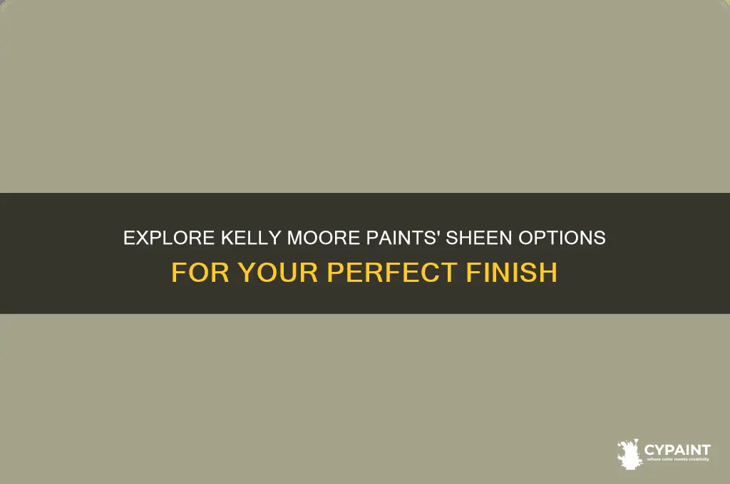 Explore Kelly Moore Paints' Sheen Options For Your Perfect Finish | CyPaint
