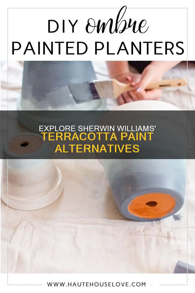 Explore Sherwin Williams' Terracotta Paint Alternatives | CyPaint