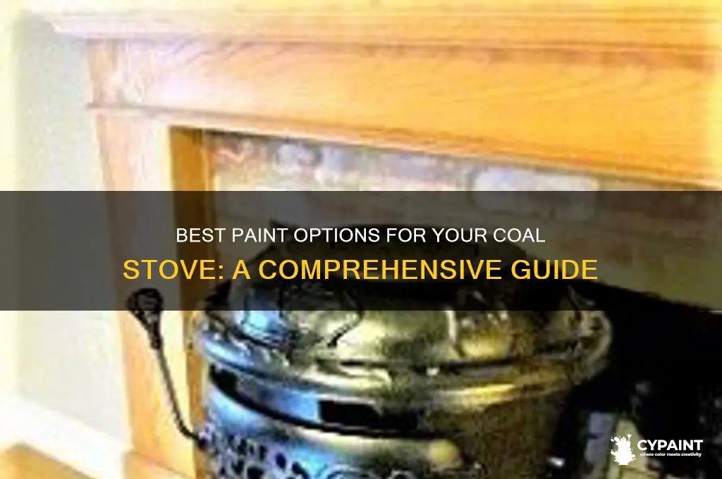 Best Paint Options For Your Coal Stove: A Comprehensive Guide | CyPaint