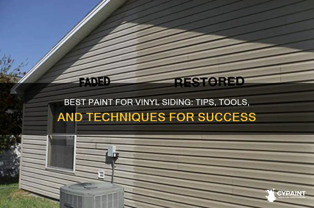 Best Paint For Vinyl Siding: Tips, Tools, And Techniques For Success ...