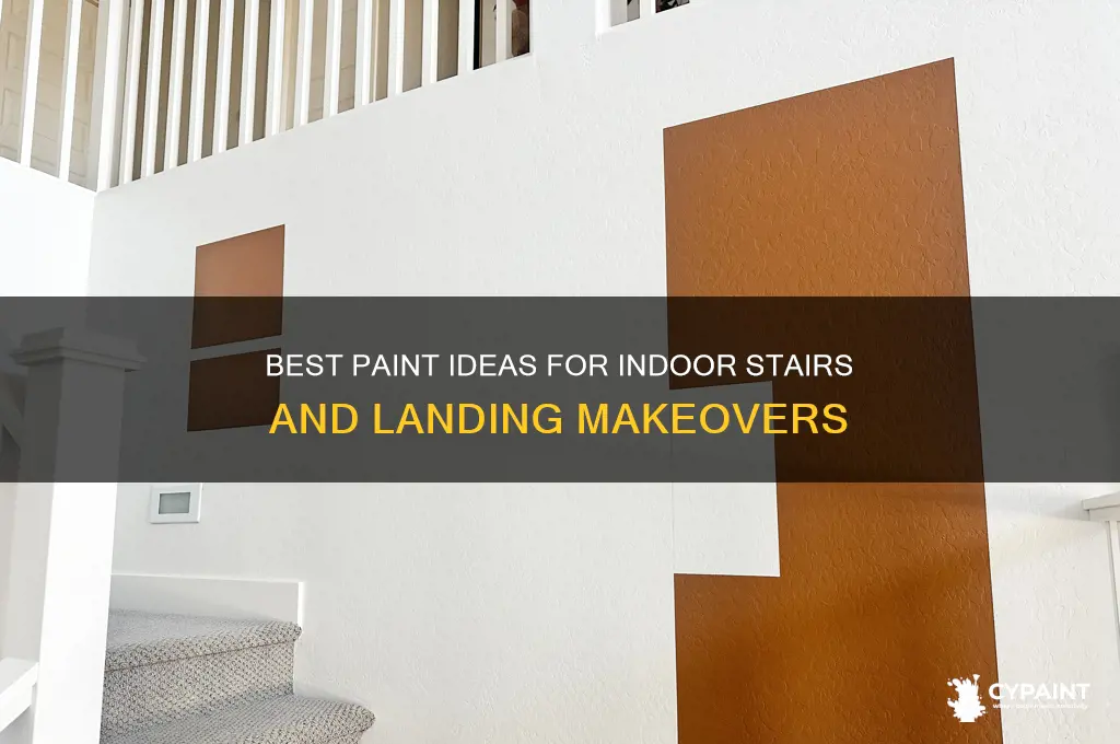 Best Paint Ideas For Indoor Stairs And Landing Makeovers | CyPaint