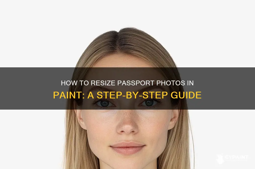 How To Resize Passport Photos In Paint: A Step-By-Step Guide | CyPaint