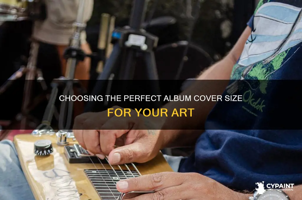 Choosing The Perfect Album Cover Size For Your Art | CyPaint